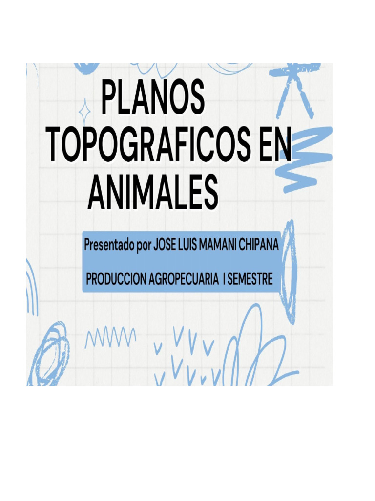 Planos Topo | PDF