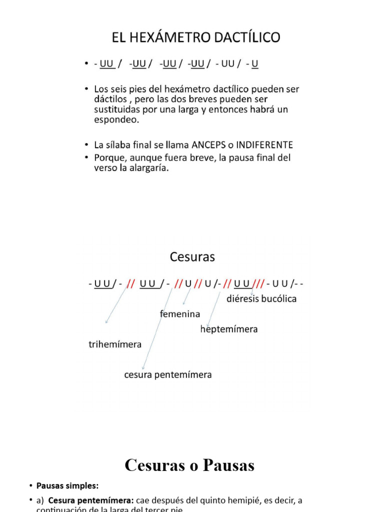 Hexámetro Dactílico | PDF | Poética | Ritmo Poético