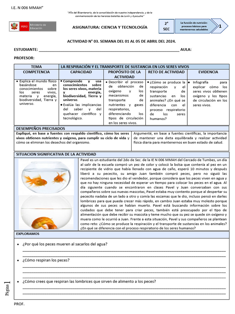 2°sec - UNIDAD 1 - ACTIVIDAD 3 (CyT Explica 2024) - La Respiración y El Transporte de Sustancia ...