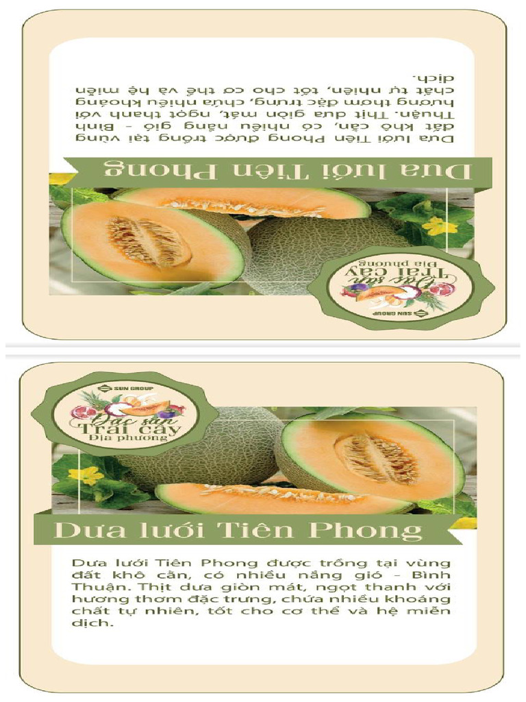 Fruits Buffet Cards | PDF