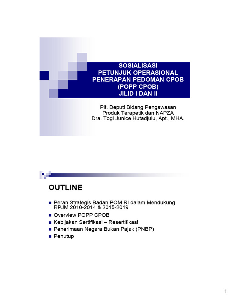 Presentasi PLT Deputi I - Rev3 | PDF