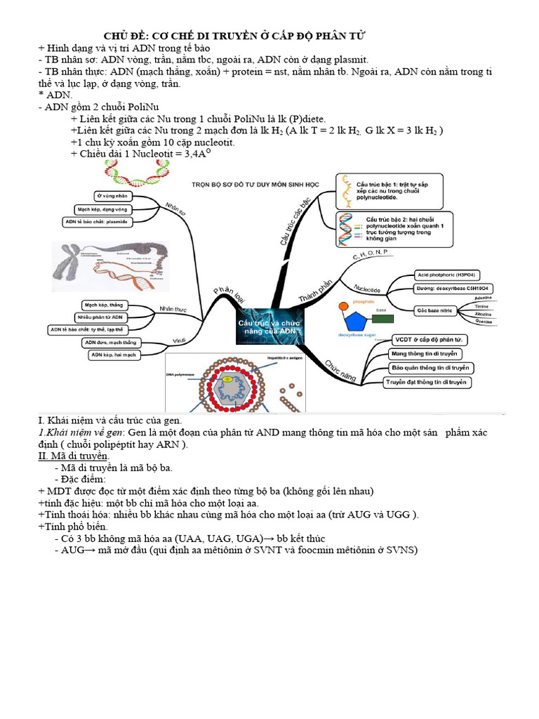 Bài 1-5 (l12) | PDF