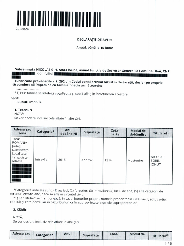 Declaratie de Avere Nicolae Ana Florina 1 | PDF