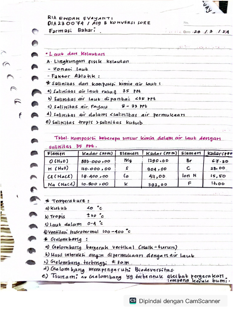 Ria Endah E D1A230074 A19 B Konversi Sore | PDF