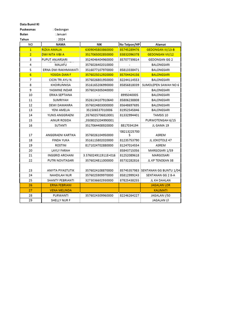 12.data Bumil K1 | PDF