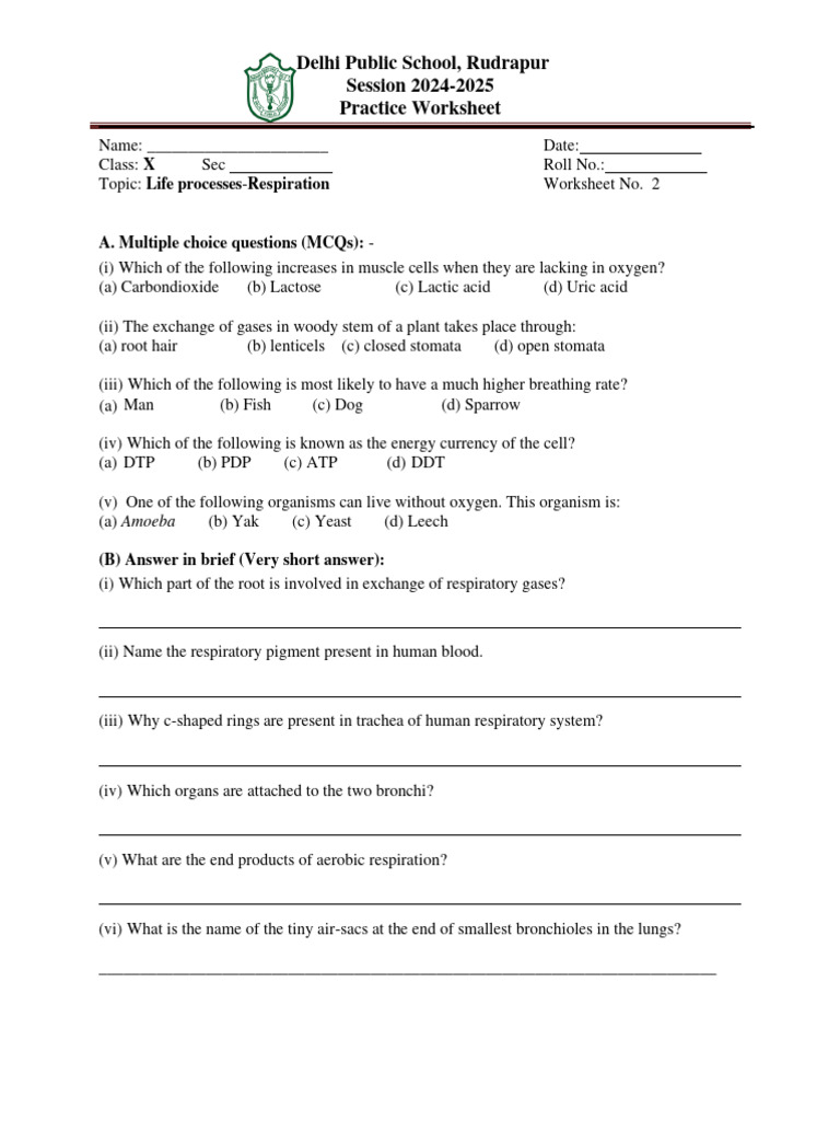 Worksheet No. 2 - Respiration | PDF