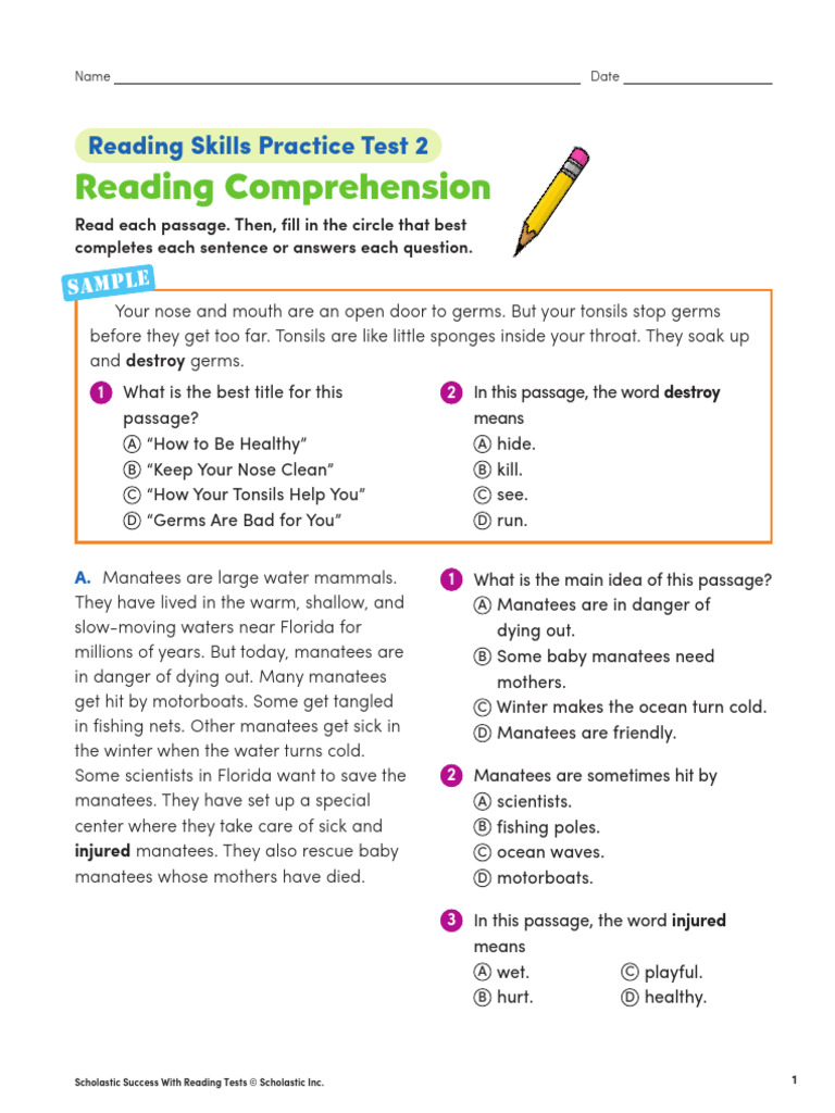Reading Comprehension: Reading Skills Practice Test 2 | PDF | Mummy ...