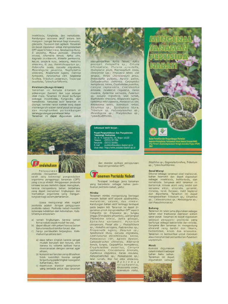 3 Mengenal Tanaman Pesnab | PDF