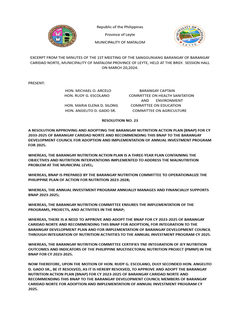 Resolution BNC Angelica | PDF