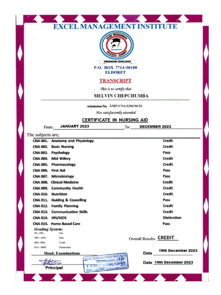 CERTIFICATE IN NURSING | PDF