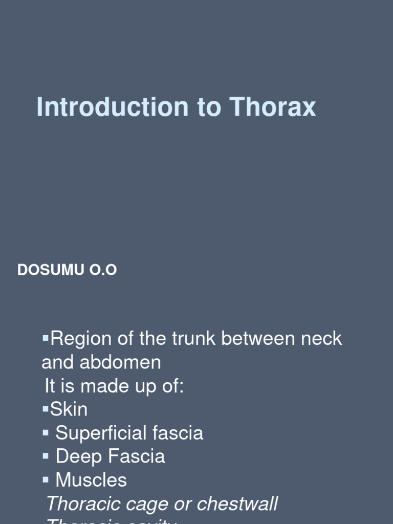 Introduction To Thorax-1 | Download Free PDF | Thorax | Anatomy