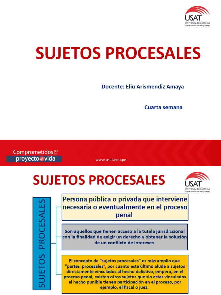 Sujetos Procesales | PDF | Fiscal | Abogado
