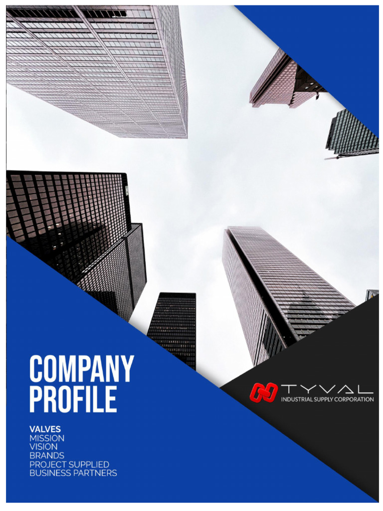 Company Profile | PDF