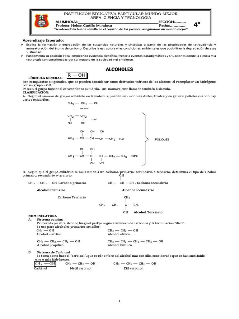 Módulo de Aprendizaje Función Alcoholes | PDF | Compuestos orgánicos | Sustancias químicas