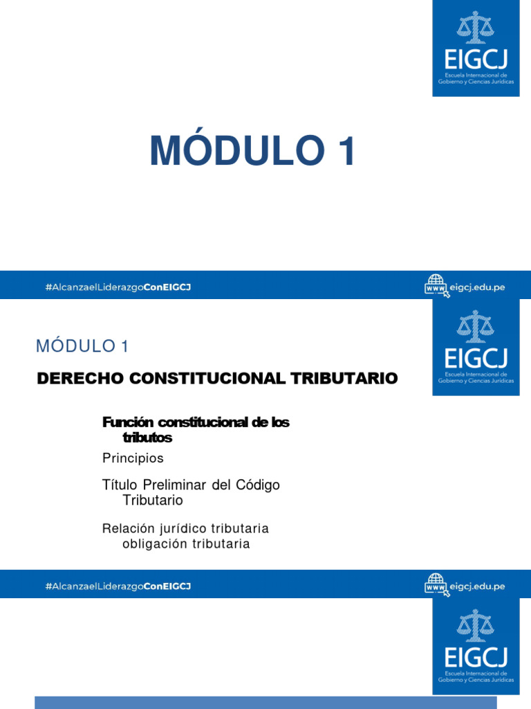 MODULO-1-TRIBUTARIO | PDF | Constitución | Impuestos