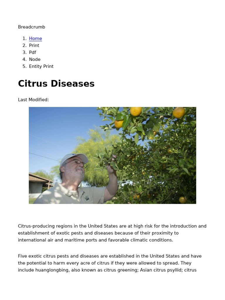 Citrus Diseases | PDF | Citrus | Tropical Fruit