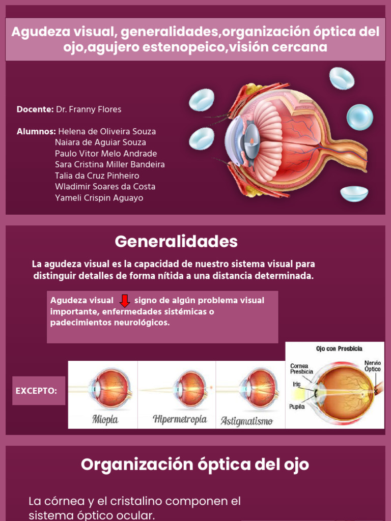 Tema 2_ Agudeza visual, generalidades,organizacion optica del ojo ...