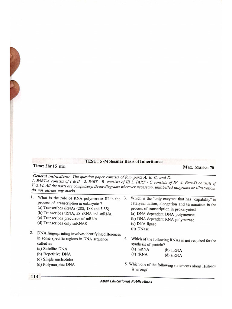 Molicular Basis of Inheritance | PDF