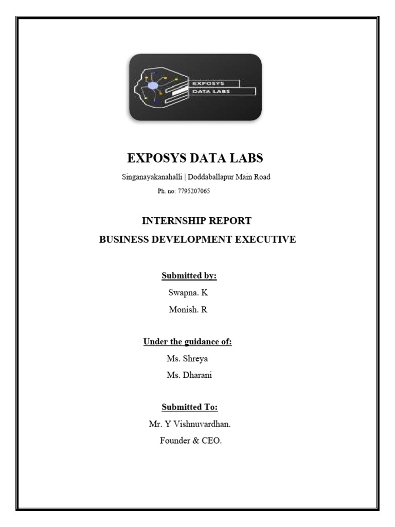 Exposys Data Labs Report | PDF | Business | Data Science