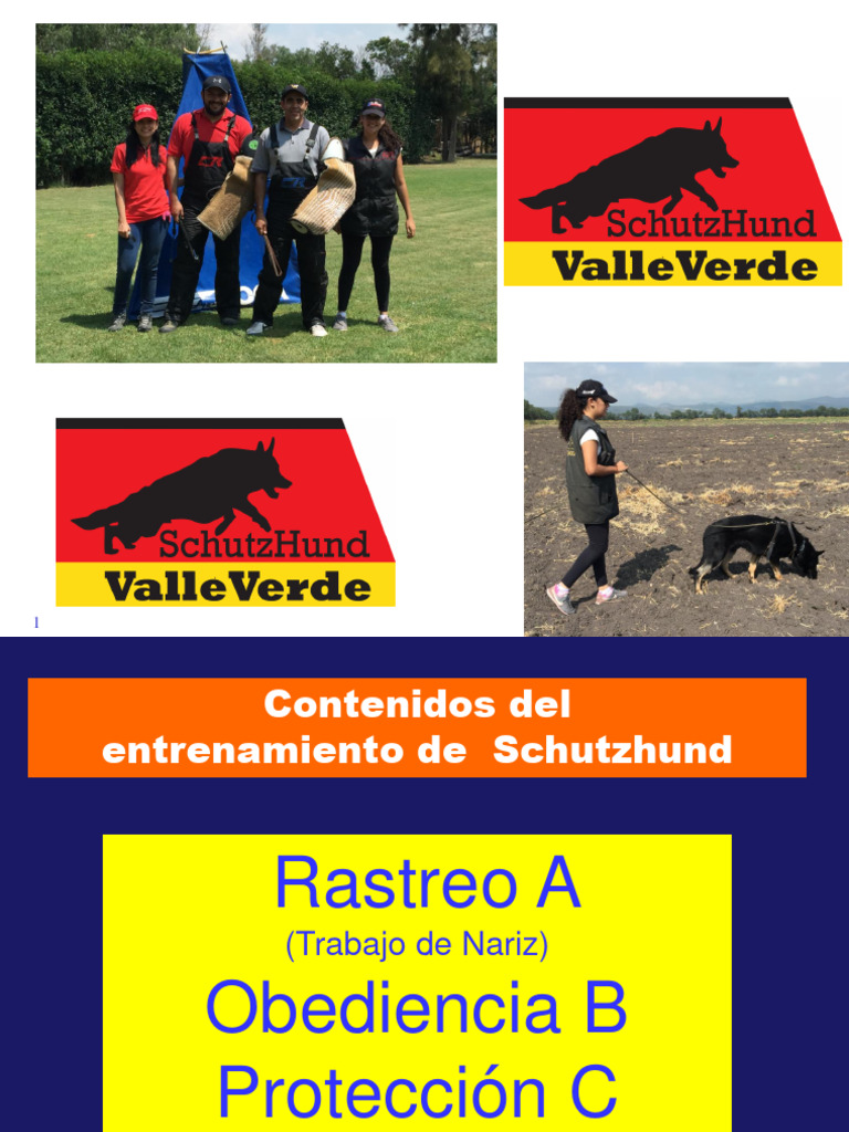 Seminario DR Raiser Adaptado 2 | PDF | Aprendizaje | Las emociones