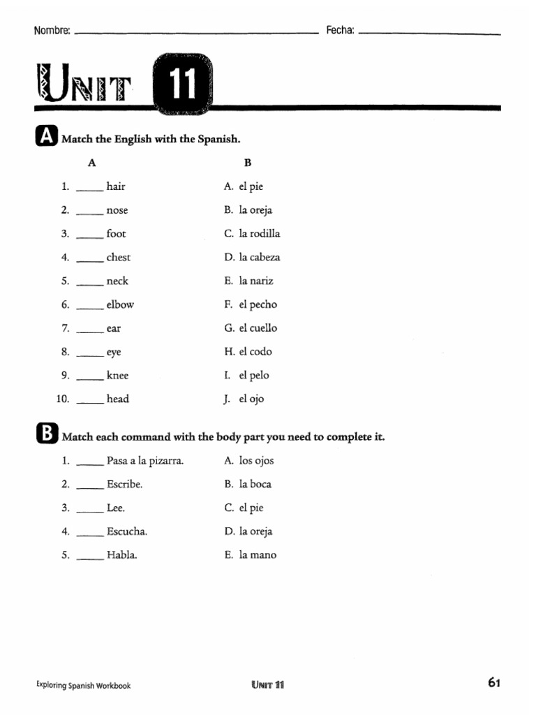 6th Grade - Unit 11 Worksheet | PDF