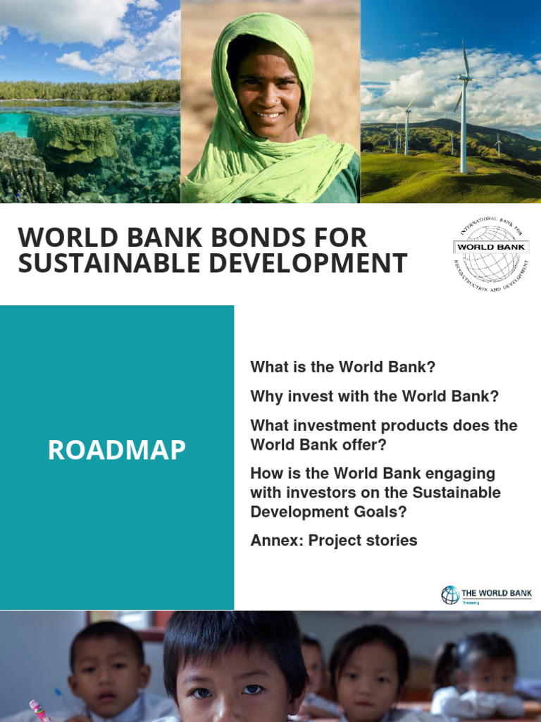 World Bank Investor Presentation | PDF | Bonds (Finance) | World Bank