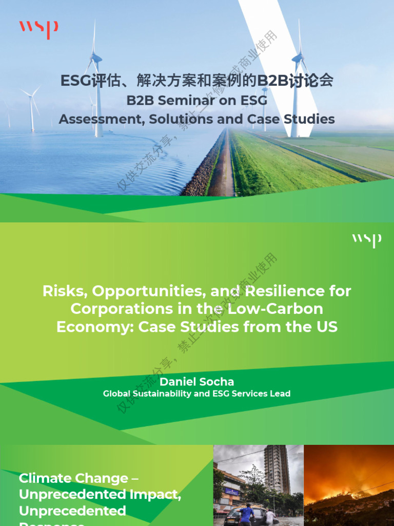 Daniel Socha - Understanding and Improving in ESG Performance | PDF