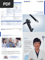 NEWTT2 | PDF | Infants | Childbirth