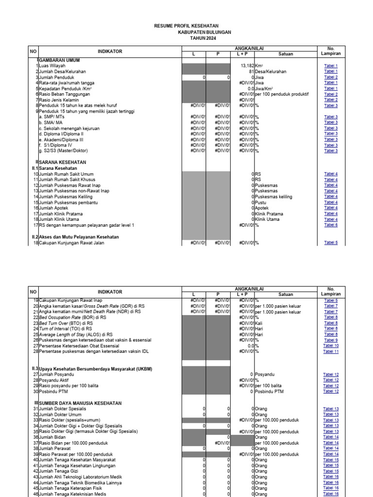 Format Baru Lampiran-Juknis-Profil-Kes - 2024 | PDF