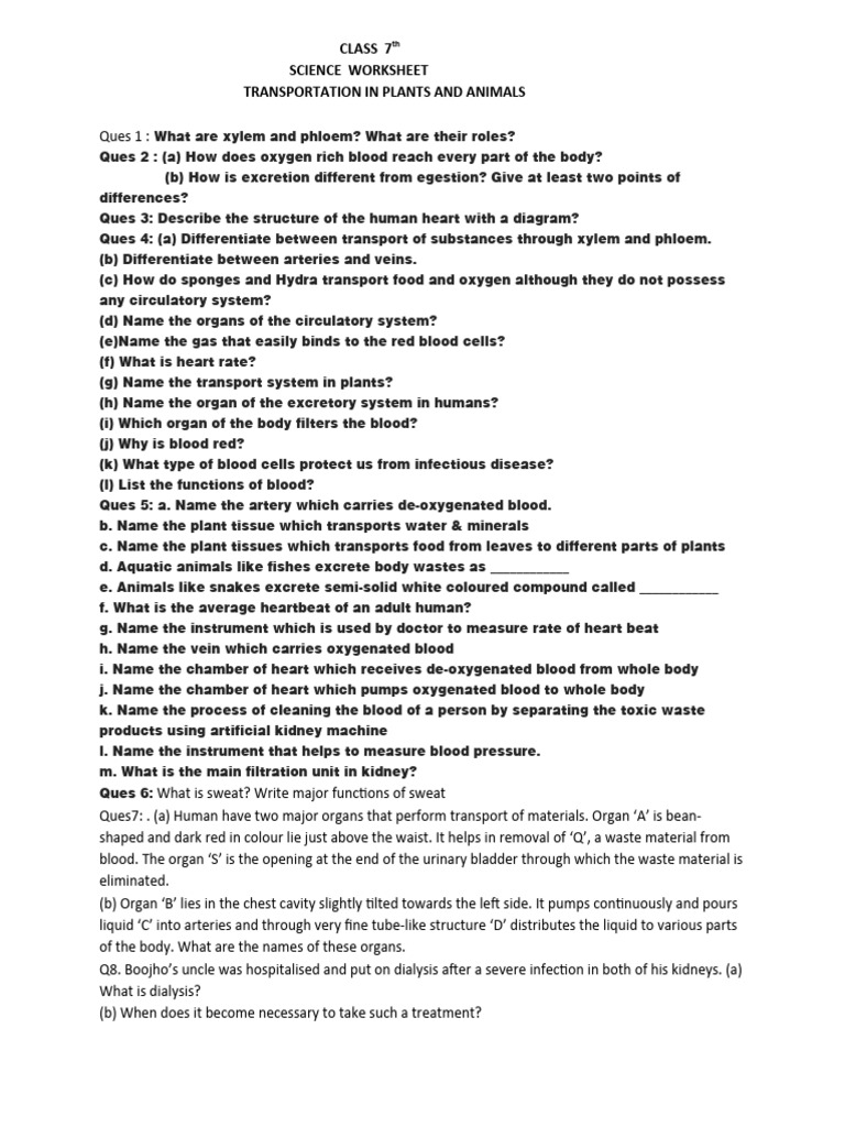 Transportation in Plants and Animals | PDF | Blood | Heart