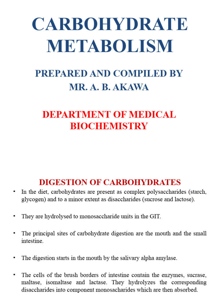 CARBOHYDRATE METABOLISM Power Point Lecture Notes | PDF | Diet ...