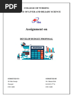 Work and Financial Plan 2025 | PDF