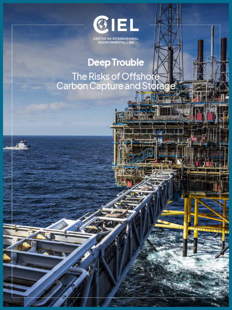Deep Trouble The Risks of Offshore Carbon Capture and Storage - IEL | Download Free PDF | Carbon ...