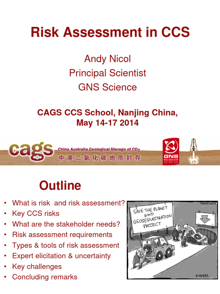 Risk Assessment in CCS - CAGS (2014) | PDF | Risk | Risk Assessment