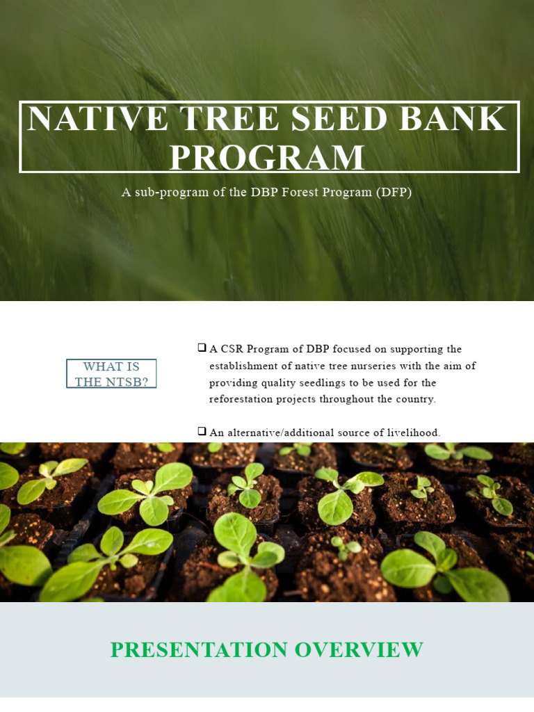 Native Tree Seed Bank Program Guide | PDF | Plant Nursery