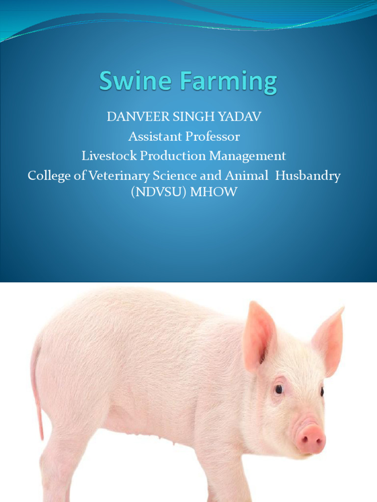 introduction-of-swine | PDF | Pig | Agriculture