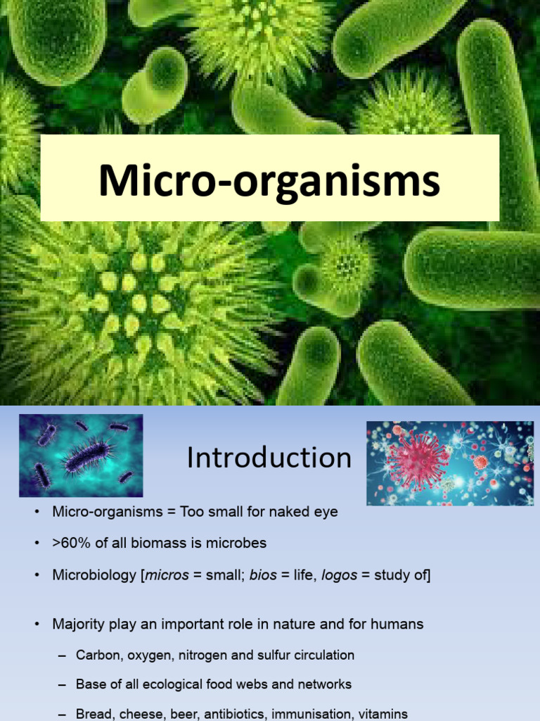 What Is A Micro-Organism - Viruses and Bacteria | PDF | Microorganism | Bacteria