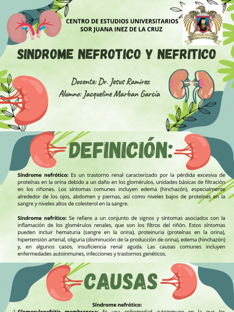 Sindrome Nefrotico y Nefritico | Descargar gratis PDF | Edema ...