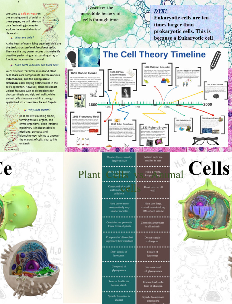 Cell Ella | PDF | Science & Mathematics