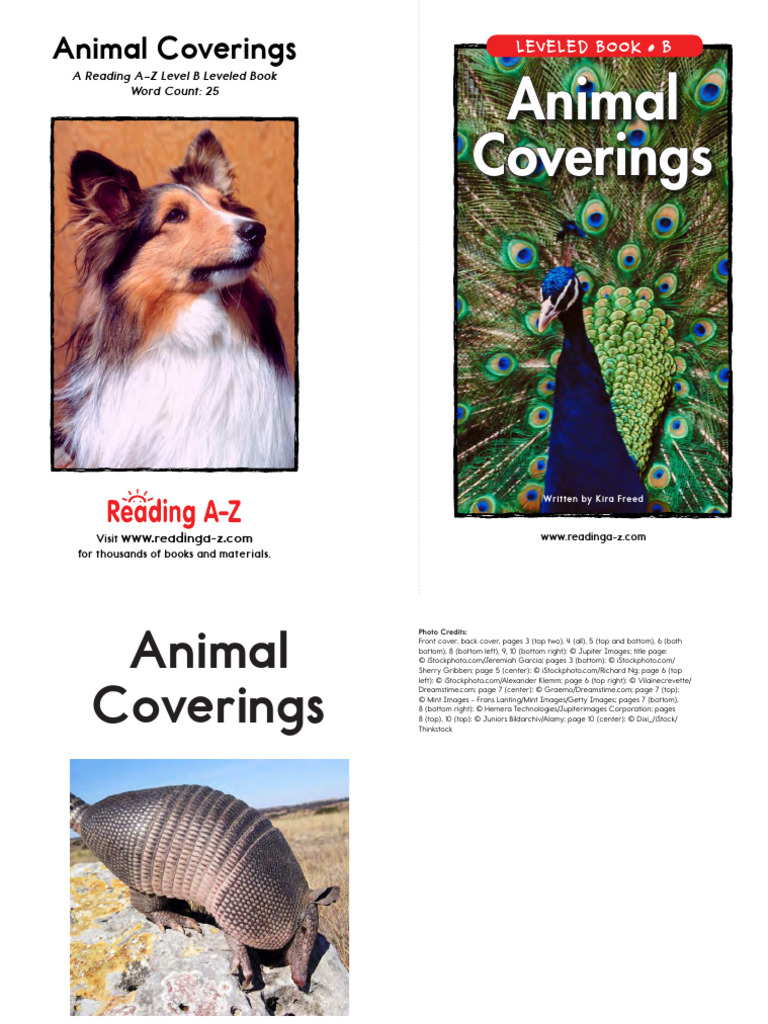Animal Coverings: A Level B Book | PDF | Zoology