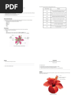 Herbarium Format Project | PDF | Botany | Plants