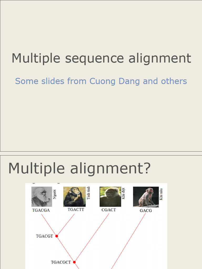 Multiple Sequence Alignment: Some Slides From Cuong Dang and Others | PDF | Sequence Alignment ...