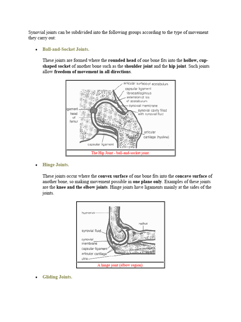 Types of Synovial Joints Explained | PDF