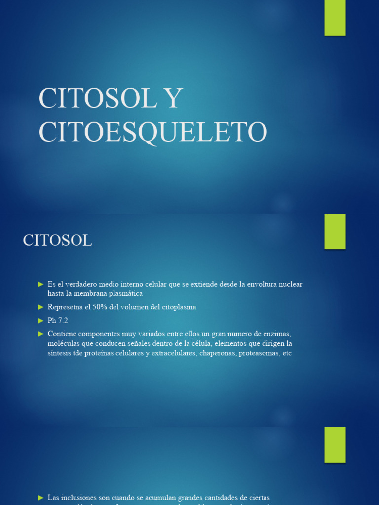 8e83fc5e 30b5 4030 8926 Ce49c4d035ad - Citosol y Citoesqueleto | PDF | Microtúbulos | Actina