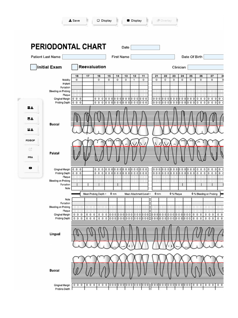 Periodontal Chart Online - WWW - Perio-Tools - Com 4 | PDF | Home & Garden