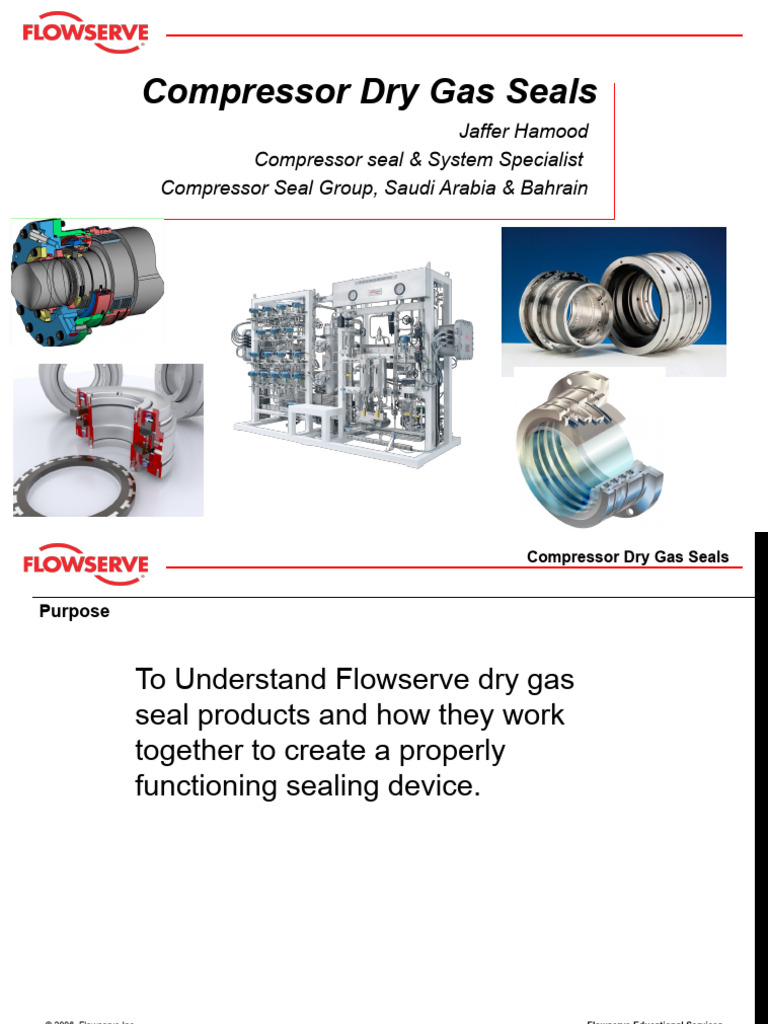 C_01 DRY GAS SEALS | PDF | Gases | Materials