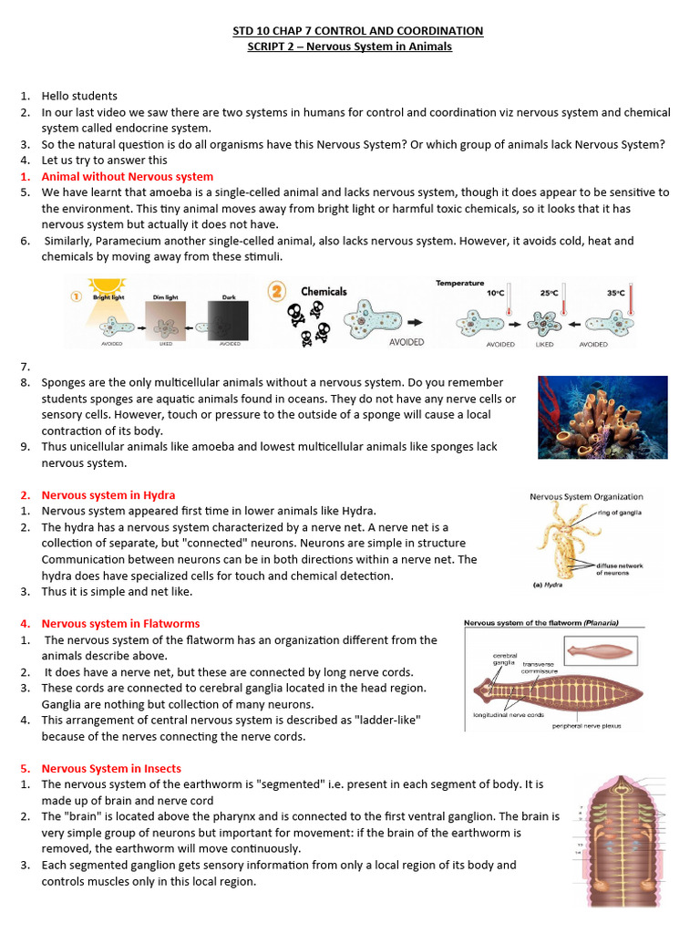 Std 10 Chap 7 Script 2 Nervous System in Animals | Download Free PDF ... Std 10 Chap 7 Script 2 Nervous System in Animals | Download Free PDF ...