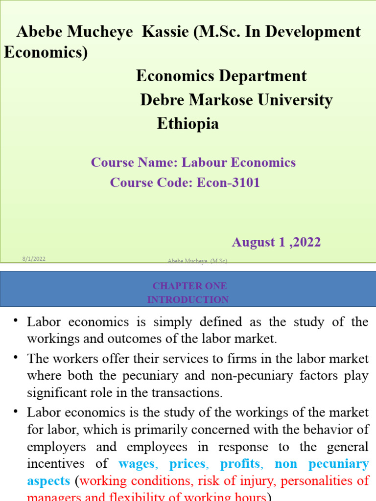 Labor Economics | PDF | Labour Economics | Production Function