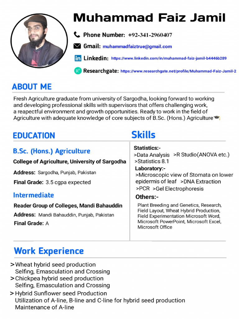 Muhammad Faiz Jamil (CV) | PDF