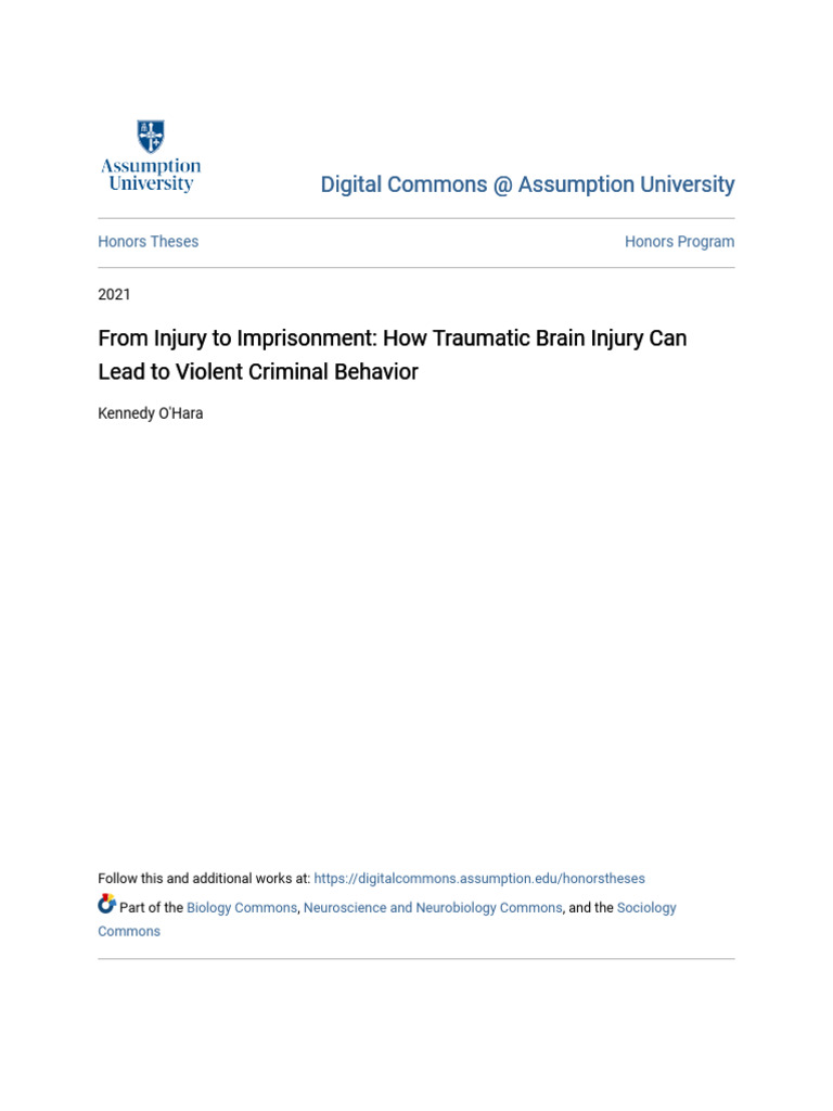 TBI's Link to Violent Crime | PDF | Traumatic Brain Injury | Mental ...